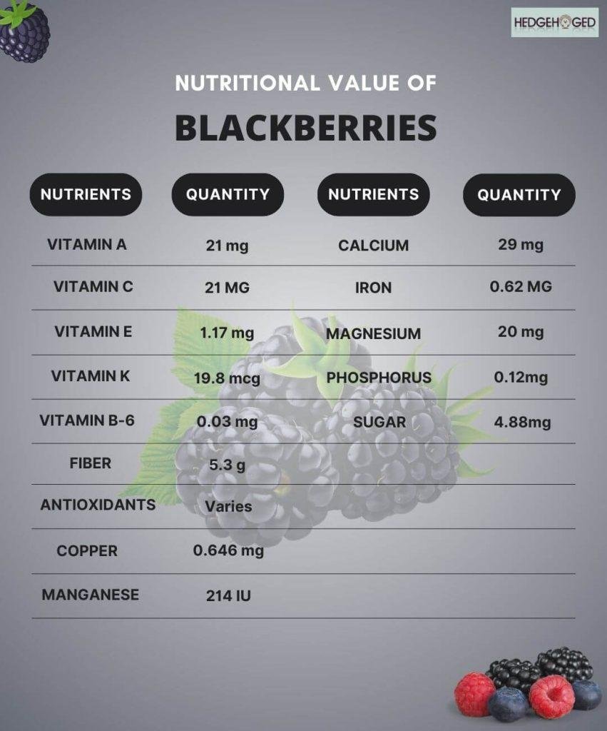 Can Hedgehogs Eat Blackberries? Benefits, Risks And More
